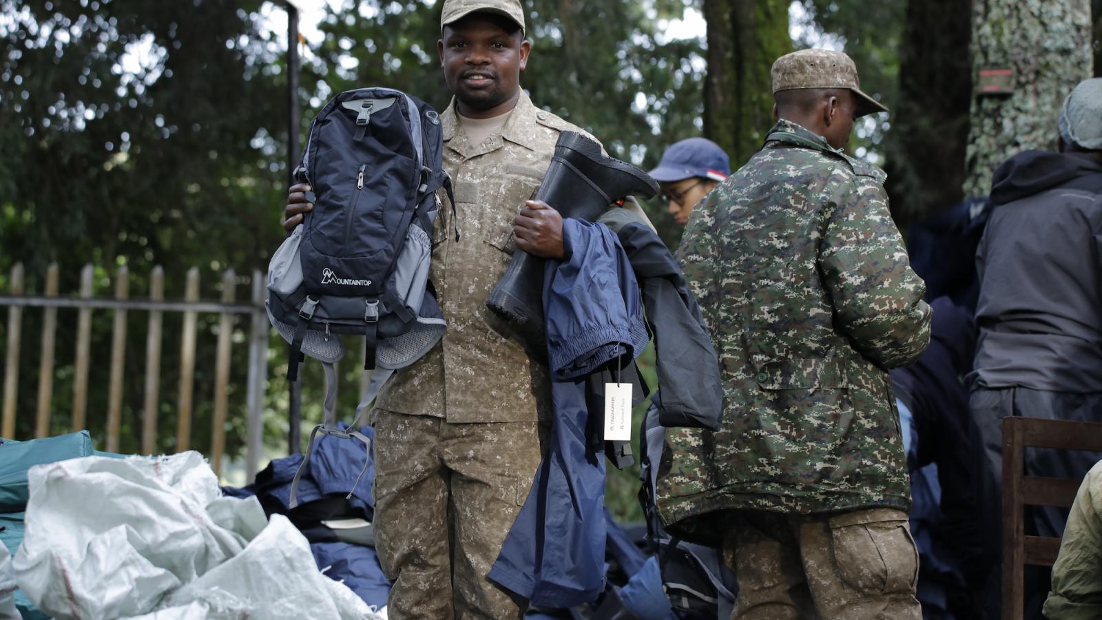 The great gorilla count | WWF